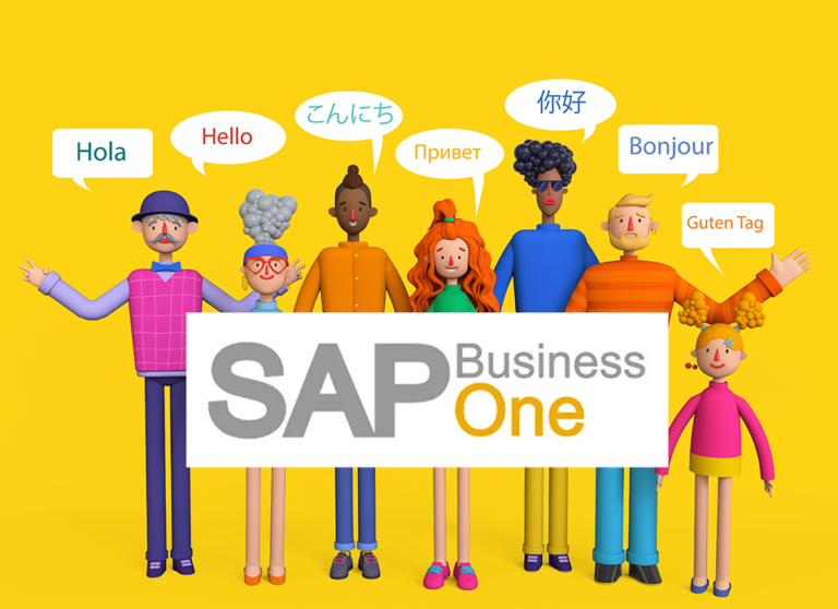 How to Change the User Interface Language in SAP Business One - Ninniku ...