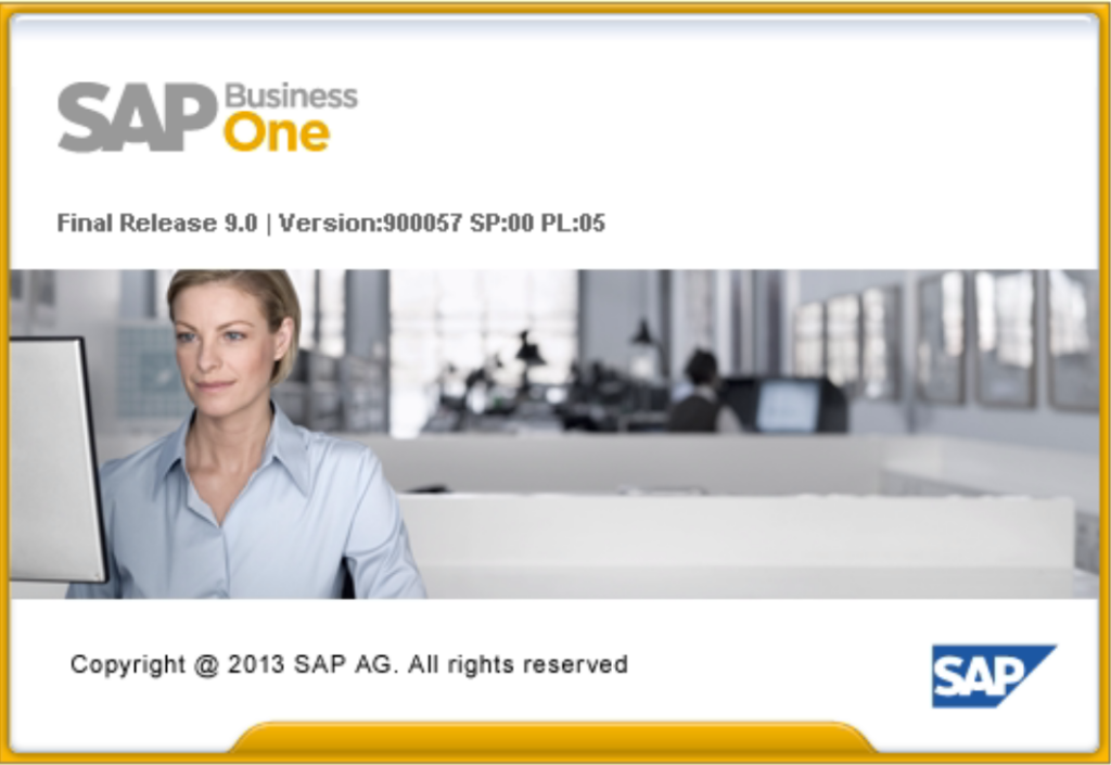 SAP Business One Installation: Everything You Need to Know - Ninniku IT Hub